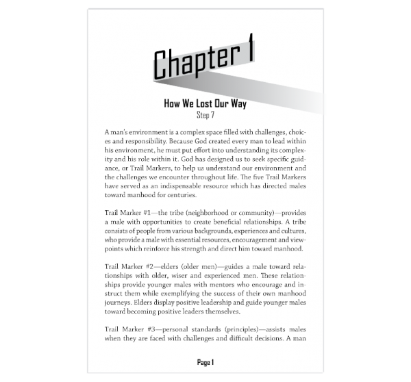 Christian Men’s Study | Manhood Journey Volume 2